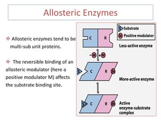 Enzymes Lec-IV (1).pdf