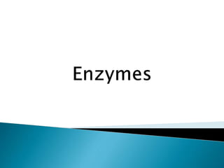 Enzymes lect-6.pptx | Chemistry | Science