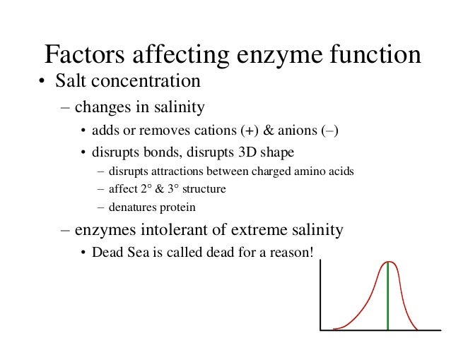 Enzymes