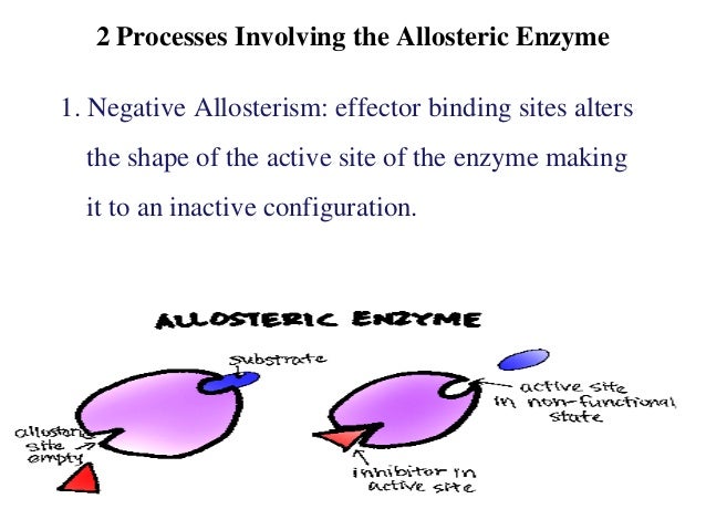 Enzymes