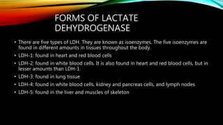 Enzymes of biological importance LDH and 5' NT | PPTX