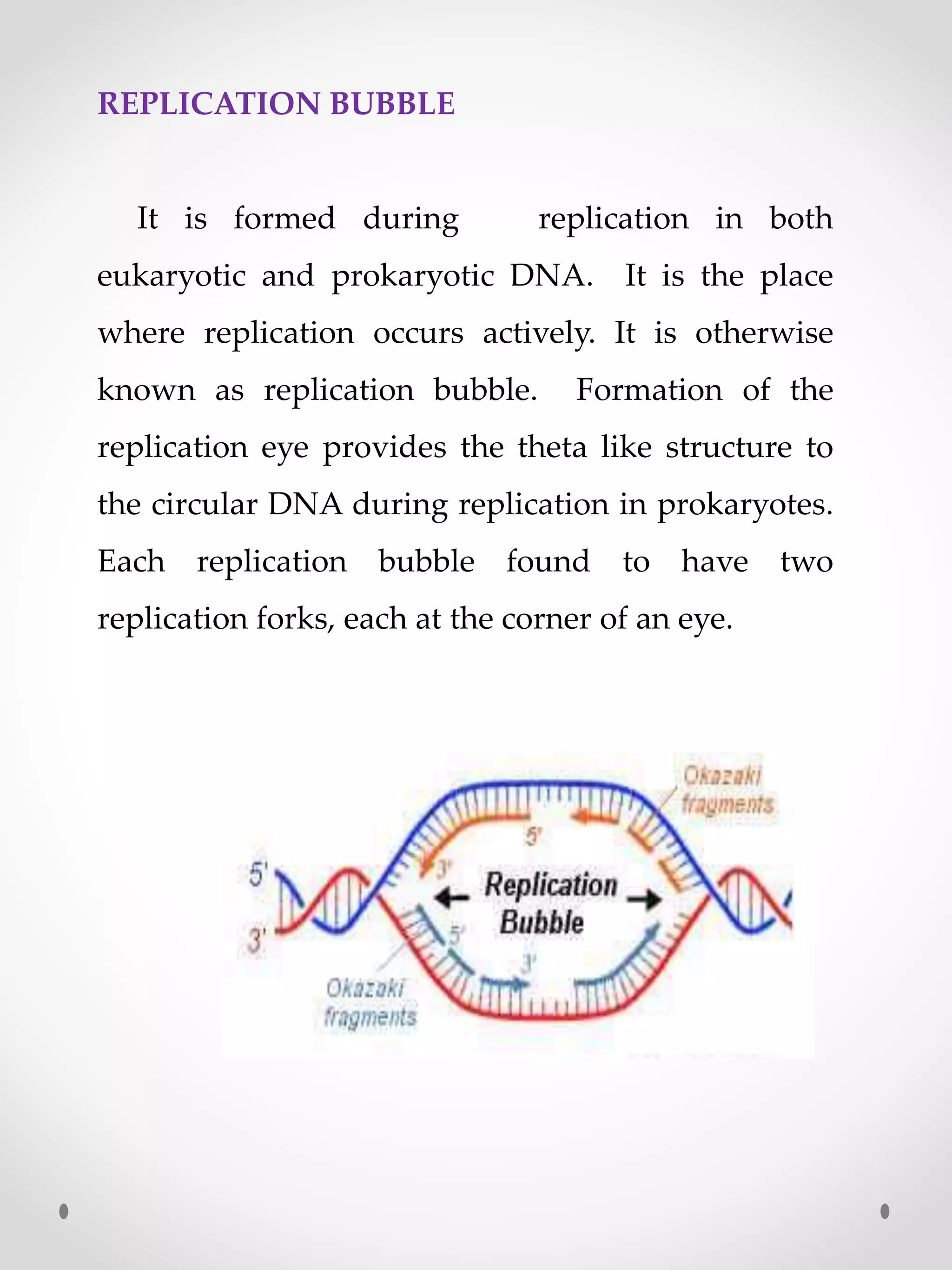 Enzymes of DNA replication | PPTX