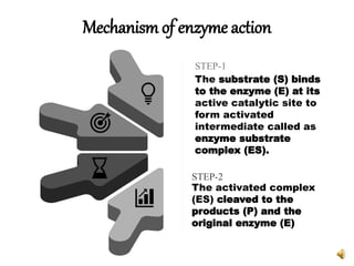Enzymes-Biochemistry part-2 | PPTX