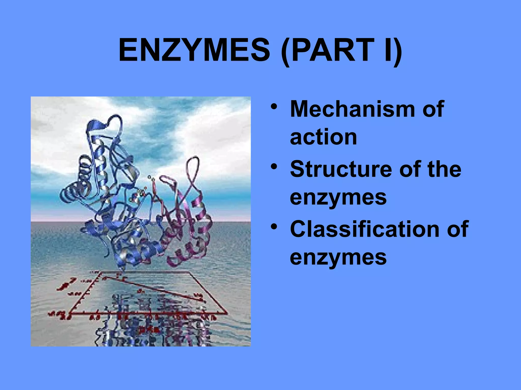 Enzymes Part~1 | PPT