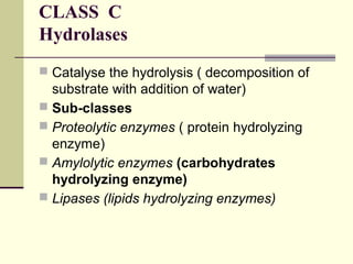 Enzymes Part~2 | PPT