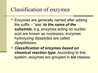 Enzymes Part~2 | PPT
