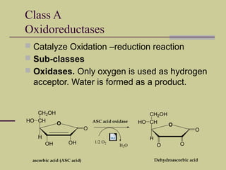 Enzymes Part~2 | PPT