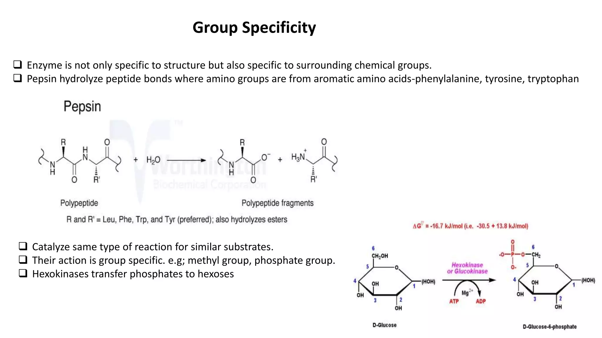 Enzyme specificity | PPTX