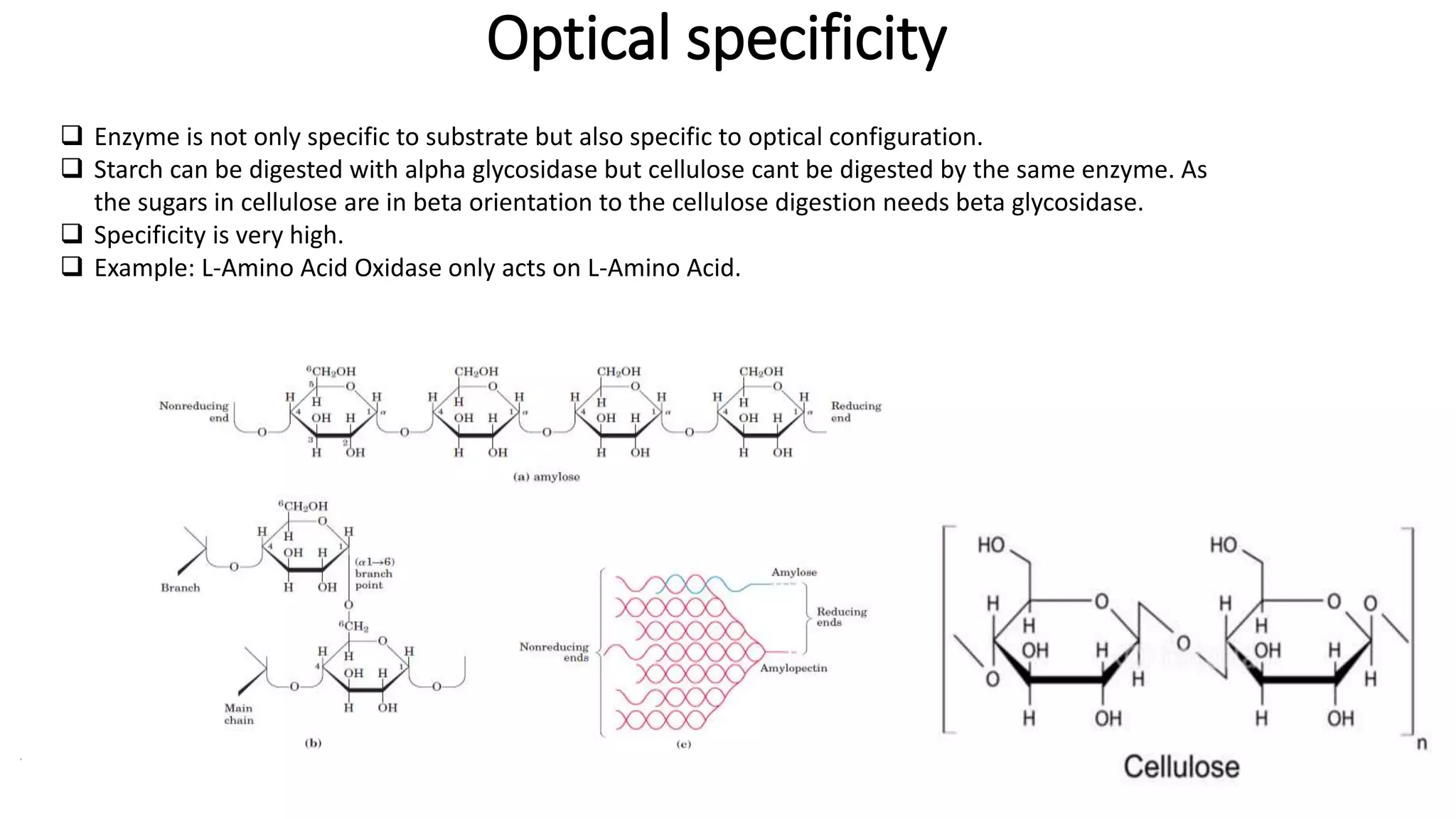 Enzyme specificity | PPTX