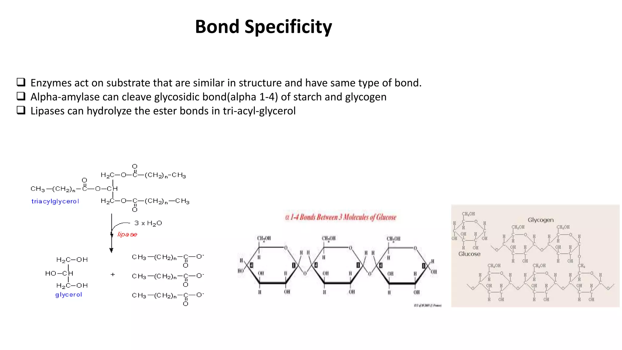 Enzyme specificity | PPTX