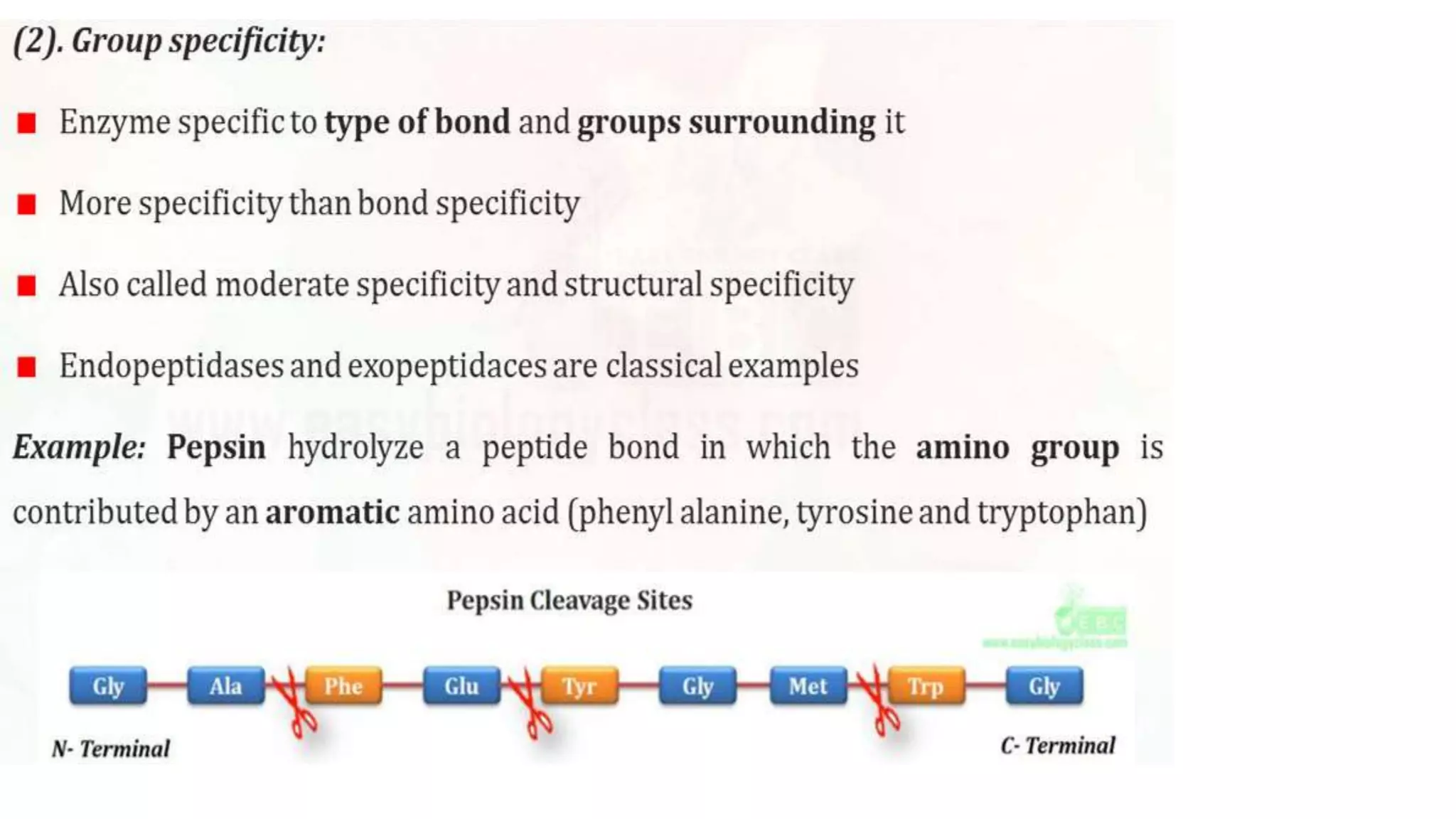 Enzyme specificity | PPTX