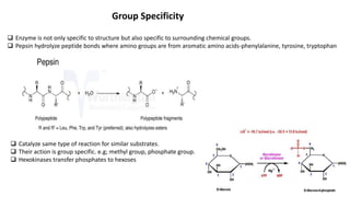 Enzyme specificity | PPTX