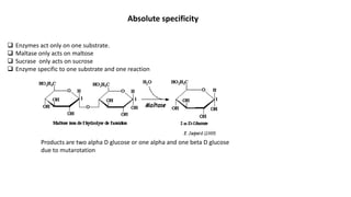 Enzyme specificity | PPTX