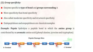 Enzyme specificity | PPTX