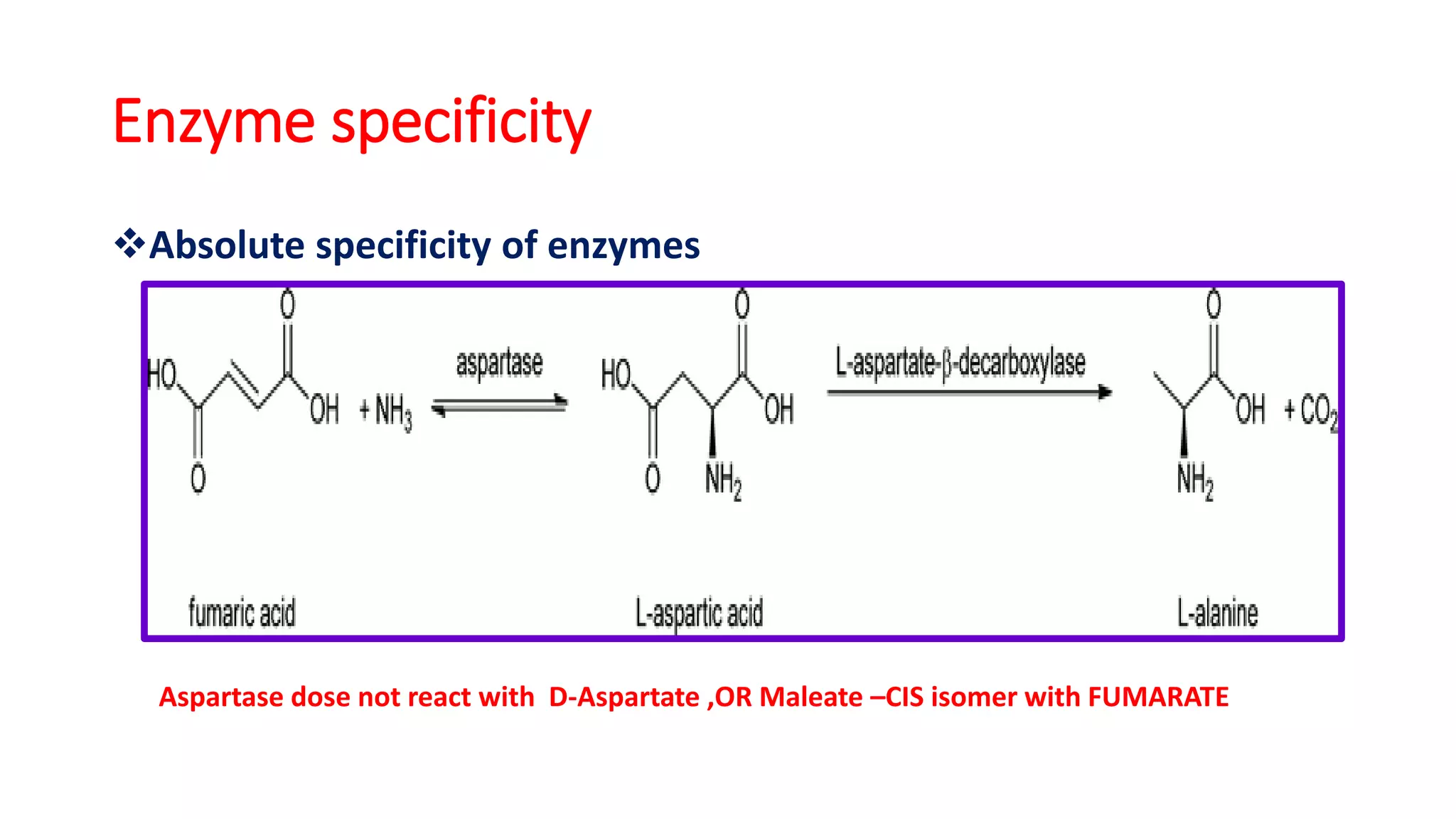 Enzyme specificity types and applications | PDF