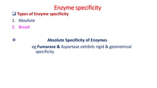 Enzyme specificity types and applications | PDF