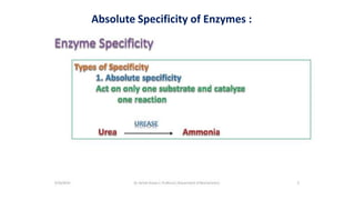 Enzyme specificity types and applications | PDF