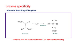 Enzyme specificity types and applications | PDF
