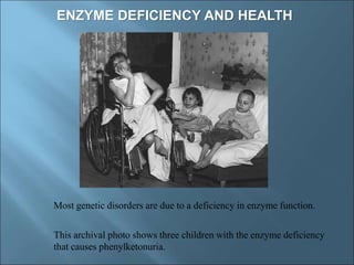 Enzymes ppt | PPT