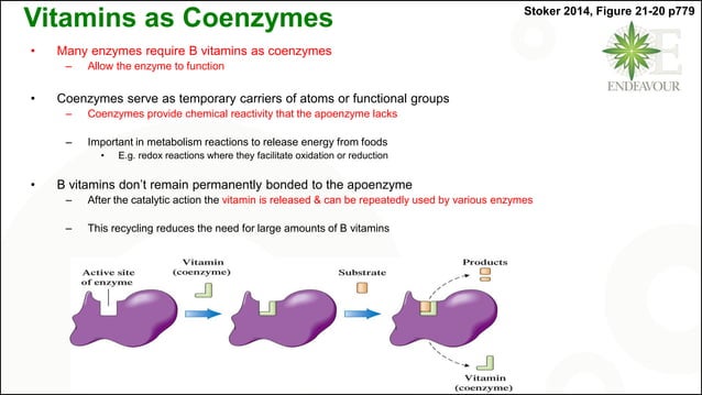 enzymes_ppt.pdf