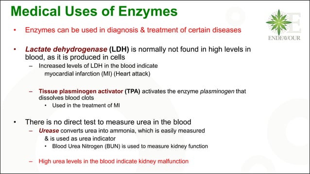 enzymes_ppt.pdf