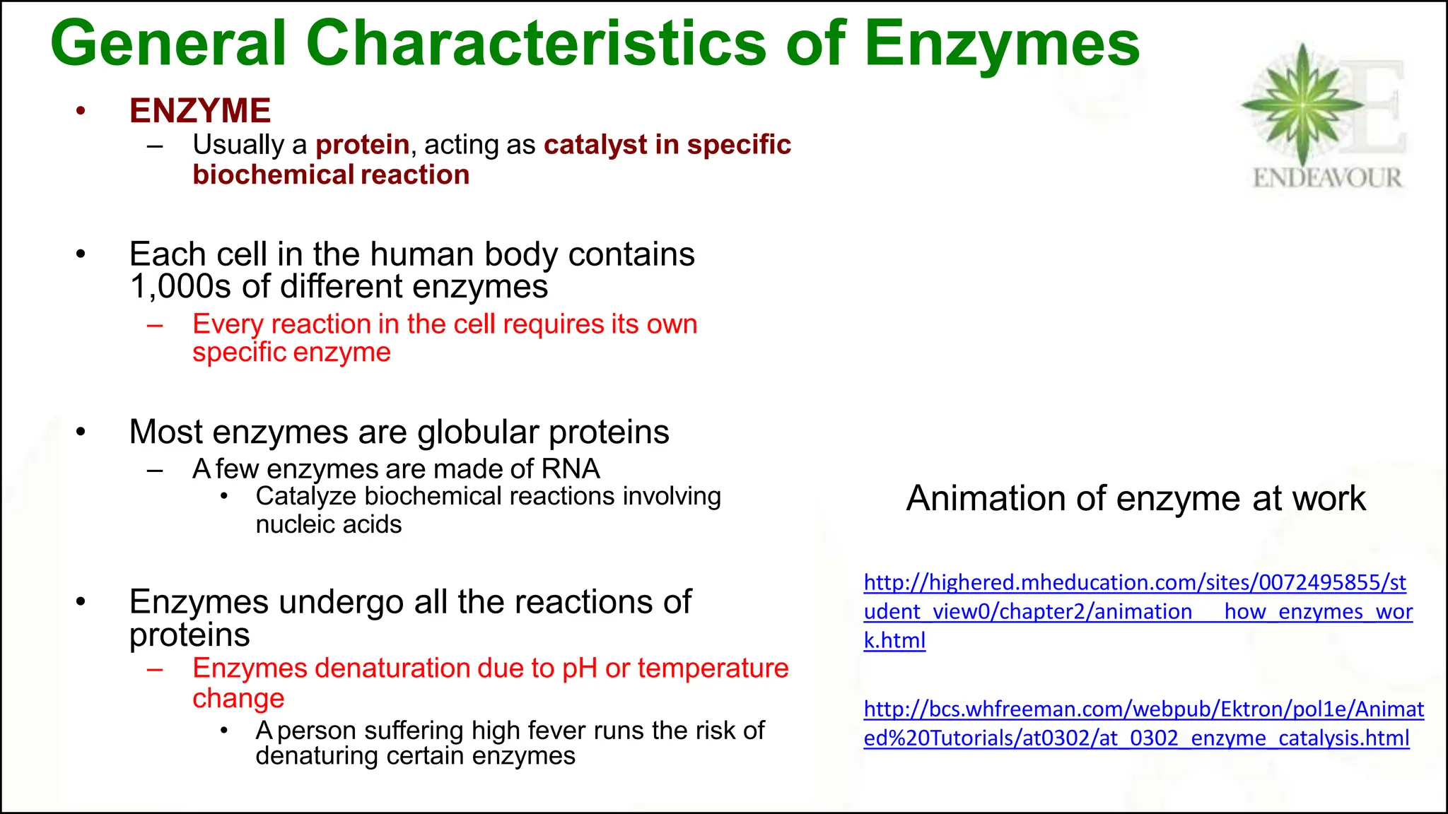 enzymes_ppt.pptx111111111111111111111111111 | PPTX