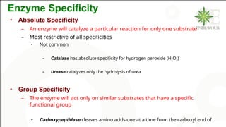 enzymes and their characteristics ppt__. | DOCX