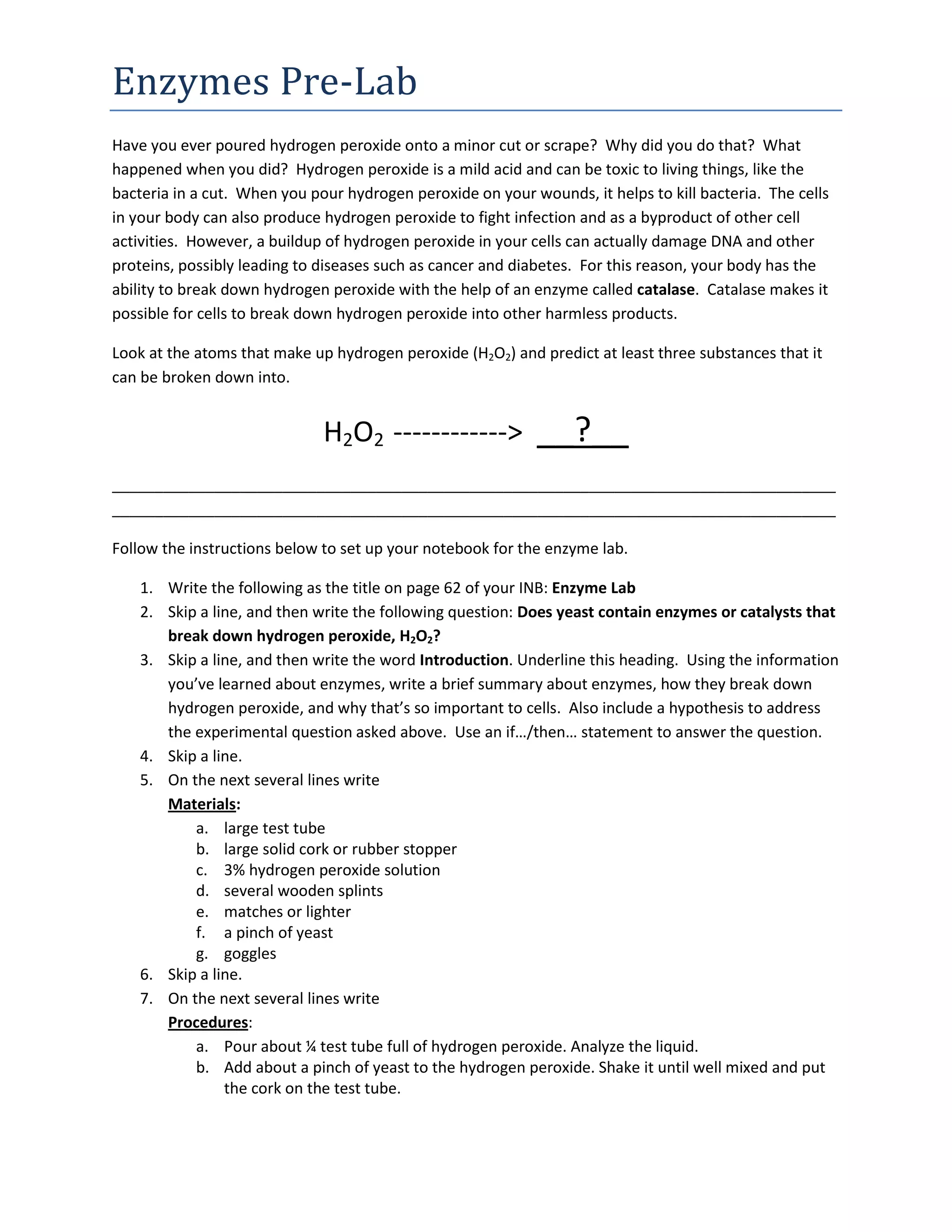 Enzymes pre lab | DOCX