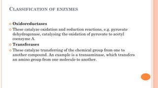 enzymes presentation.pdf.................. | PDF