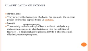 enzymes presentation.pdf.................. | PDF
