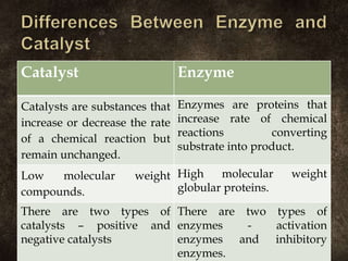 Enzymes (Definition, characteristics, mechanism action, activity, stability) By Saad Bin Hasan ...