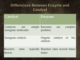 Enzymes (Definition, characteristics, mechanism action, activity ...