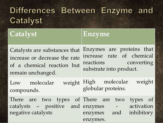Enzymes (Definition, characteristics, mechanism action, activity, sta…