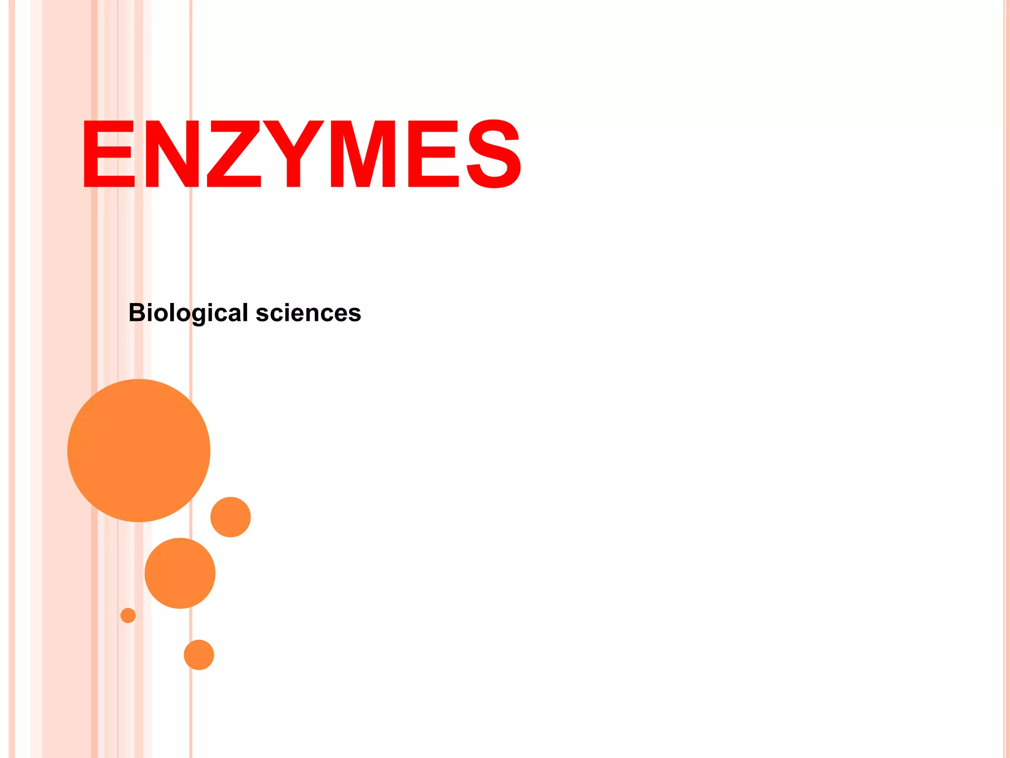 ENZYMES Quick Study Notes Slides.pptx