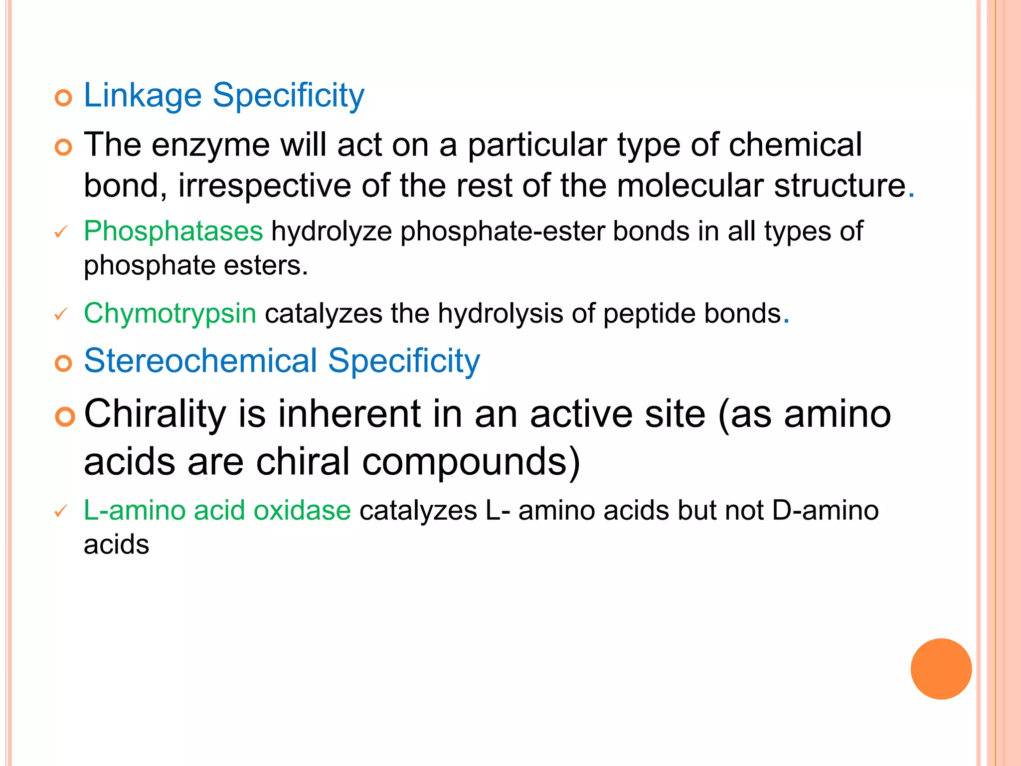 ENZYMES Quick Study Notes Slides.pptx
