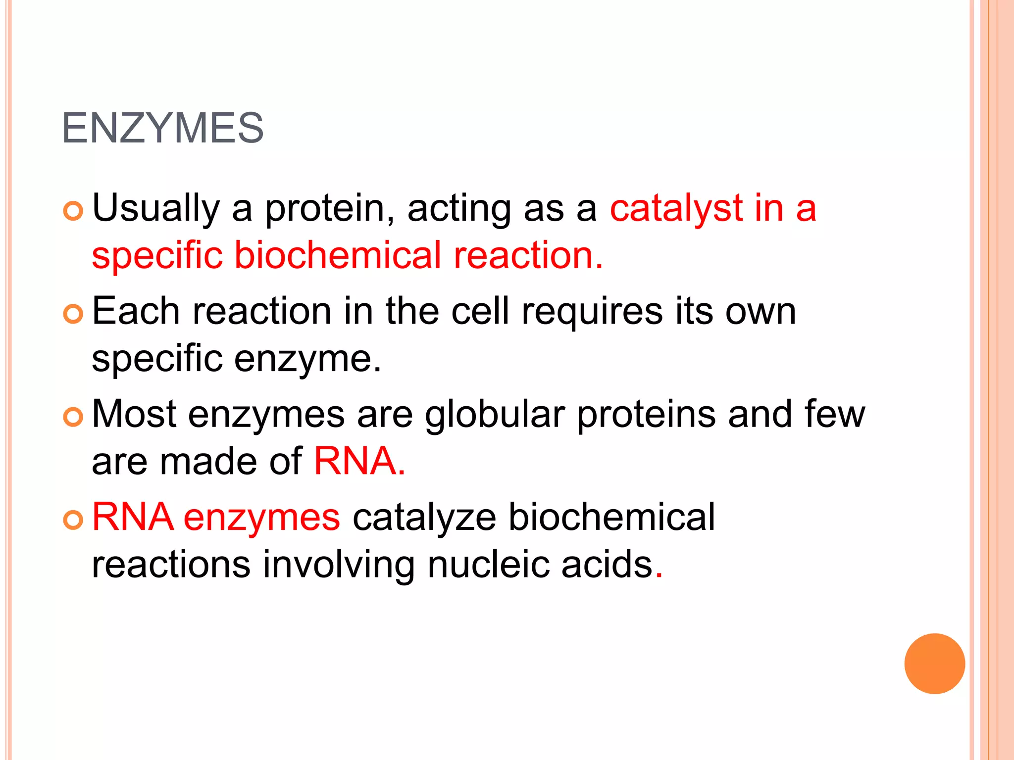 ENZYMES Quick Study Notes Slides.pptx