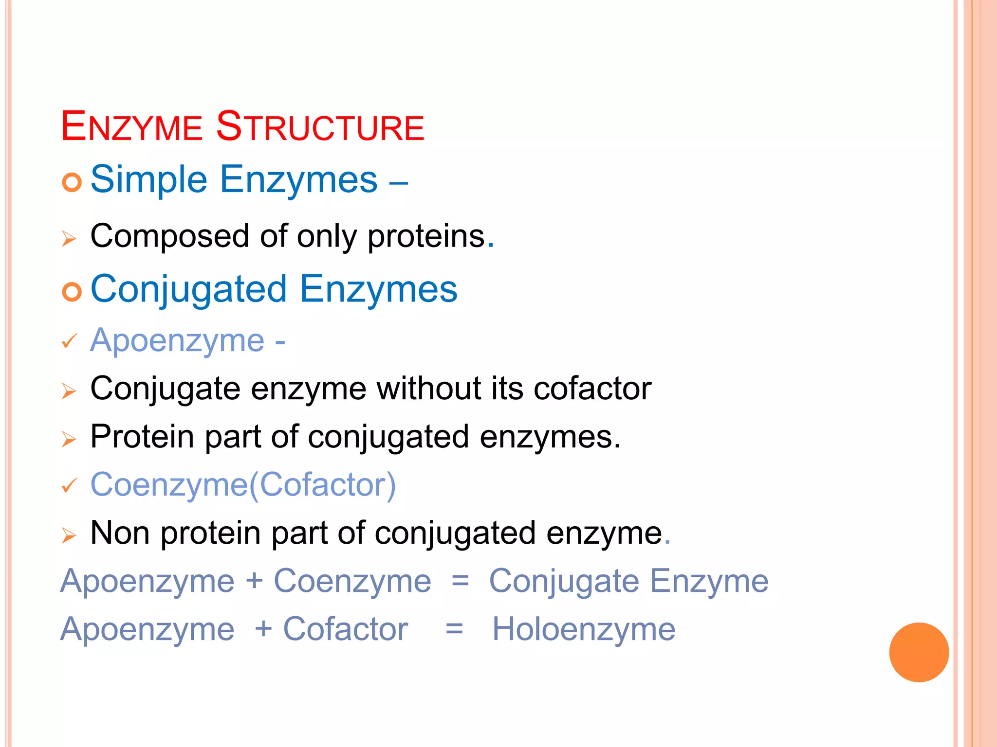 ENZYMES Quick Study Notes Slides.pptx
