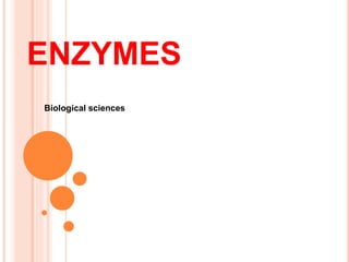 ENZYMES Quick Study Notes Slides.pptx