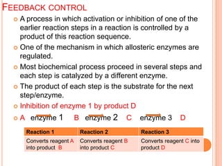 ENZYMES Quick Study Notes Slides.pptx