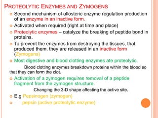 ENZYMES Quick Study Notes Slides.pptx