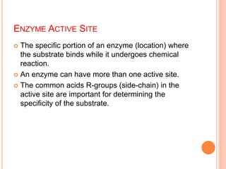 ENZYMES Quick Study Notes Slides.pptx