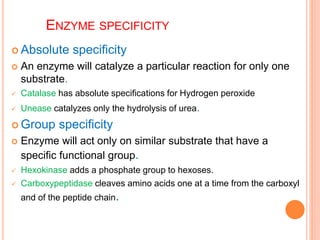 ENZYMES Quick Study Notes Slides.pptx