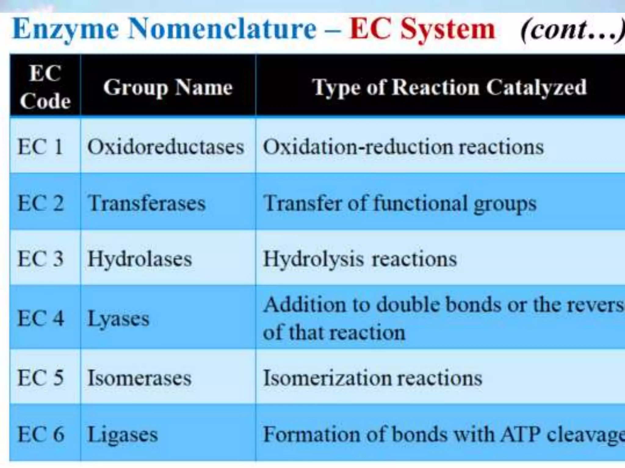 ENZYMES REACTIONs ppt..ppt
