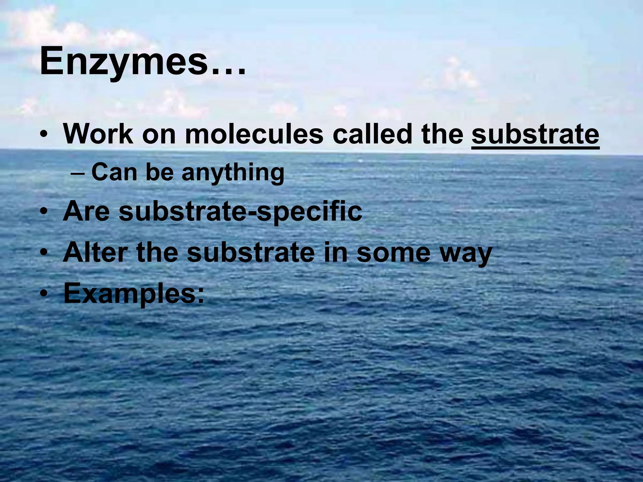 ENZYMES REACTIONs ppt..ppt