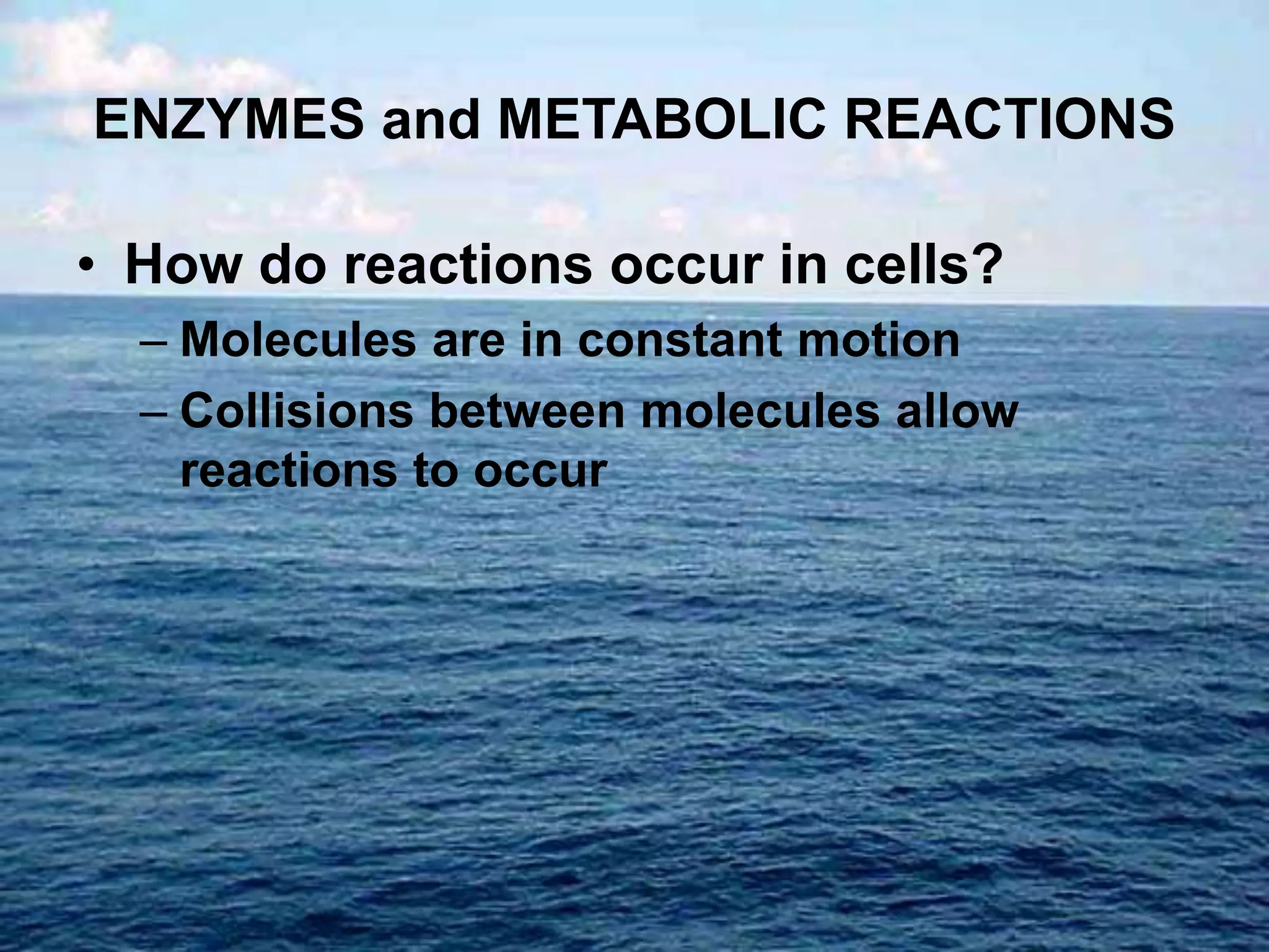 ENZYMES REACTIONs ppt..ppt
