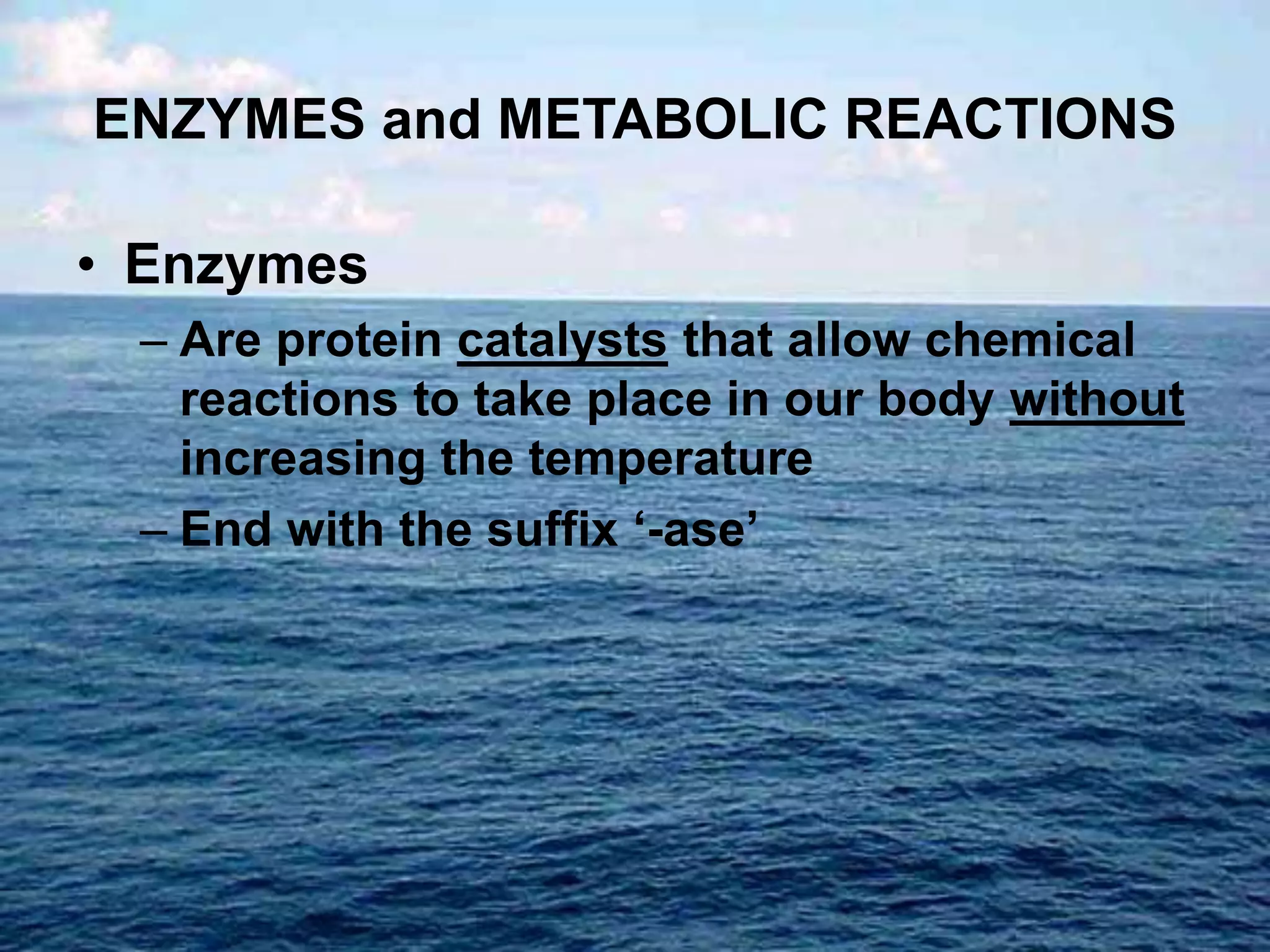 ENZYMES REACTIONs ppt..ppt