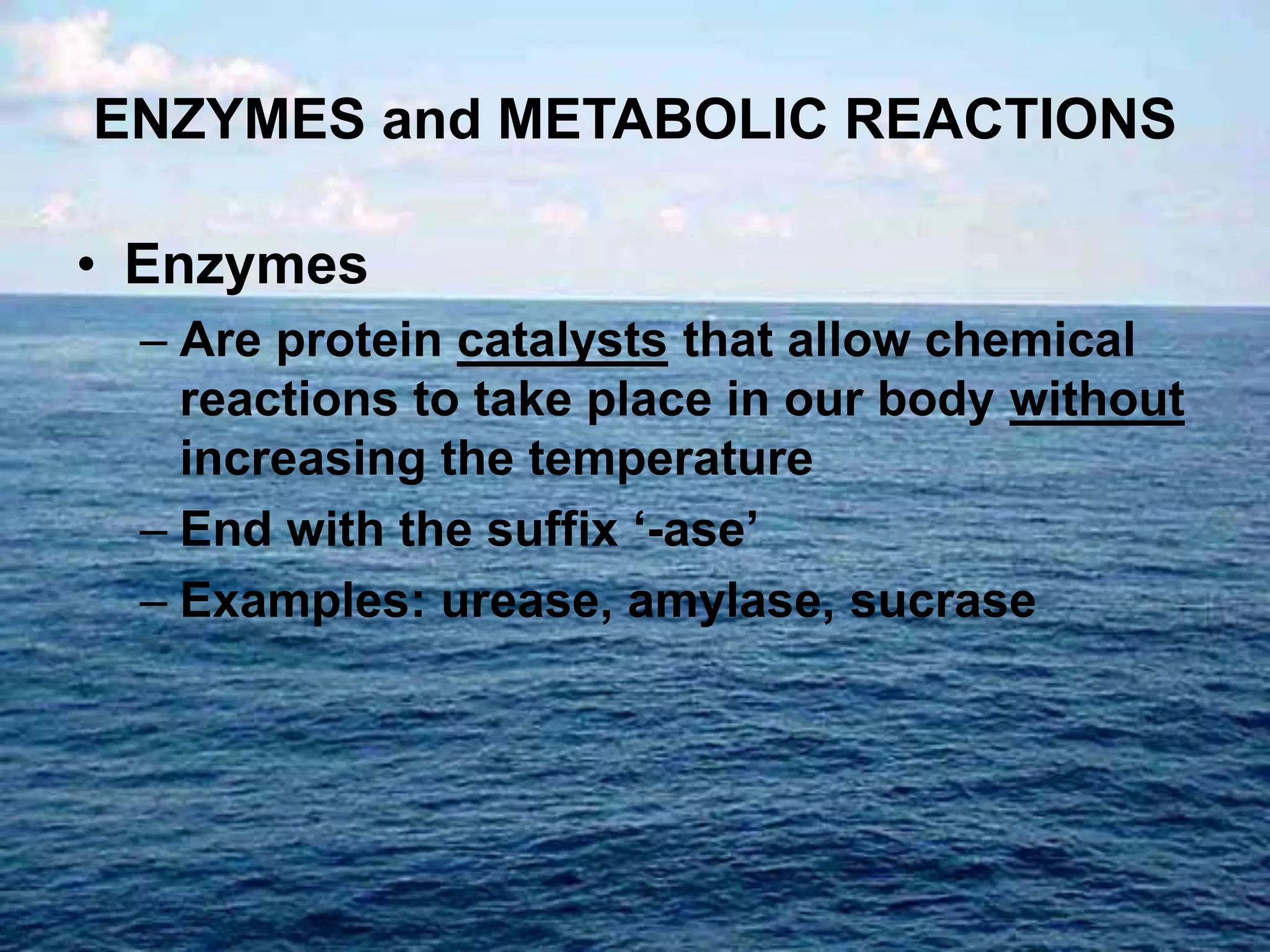ENZYMES REACTIONs ppt..ppt