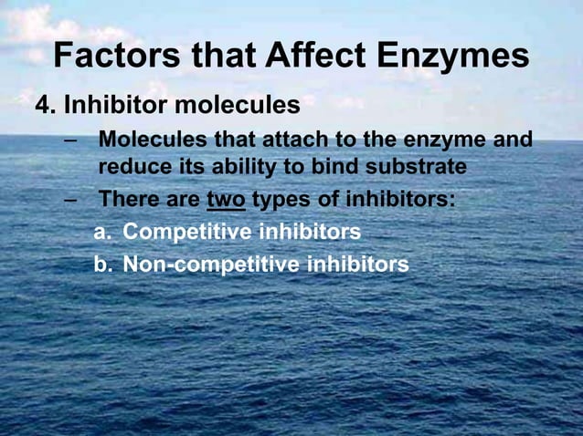 ENZYMES REACTIONs ppt..ppt