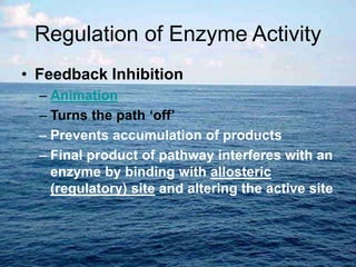 ENZYMES REACTIONs ppt..ppt