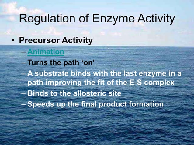 ENZYMES REACTIONs ppt..ppt